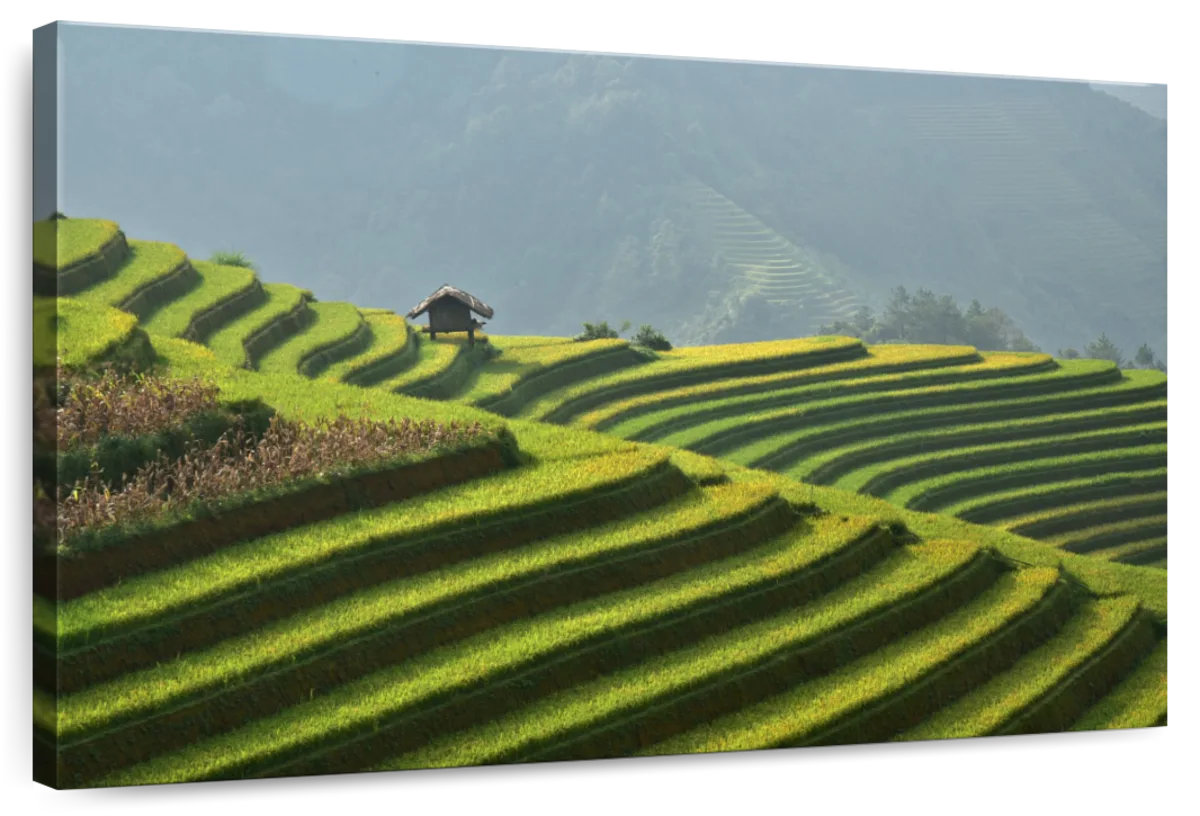 Millwood Pines Alvord Terraced Rice Paddies | Wayfair