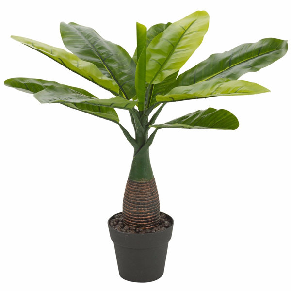 Bay Isle Home 40cm Banana Leaf Tree in Pot & Reviews | Wayfair.co.uk