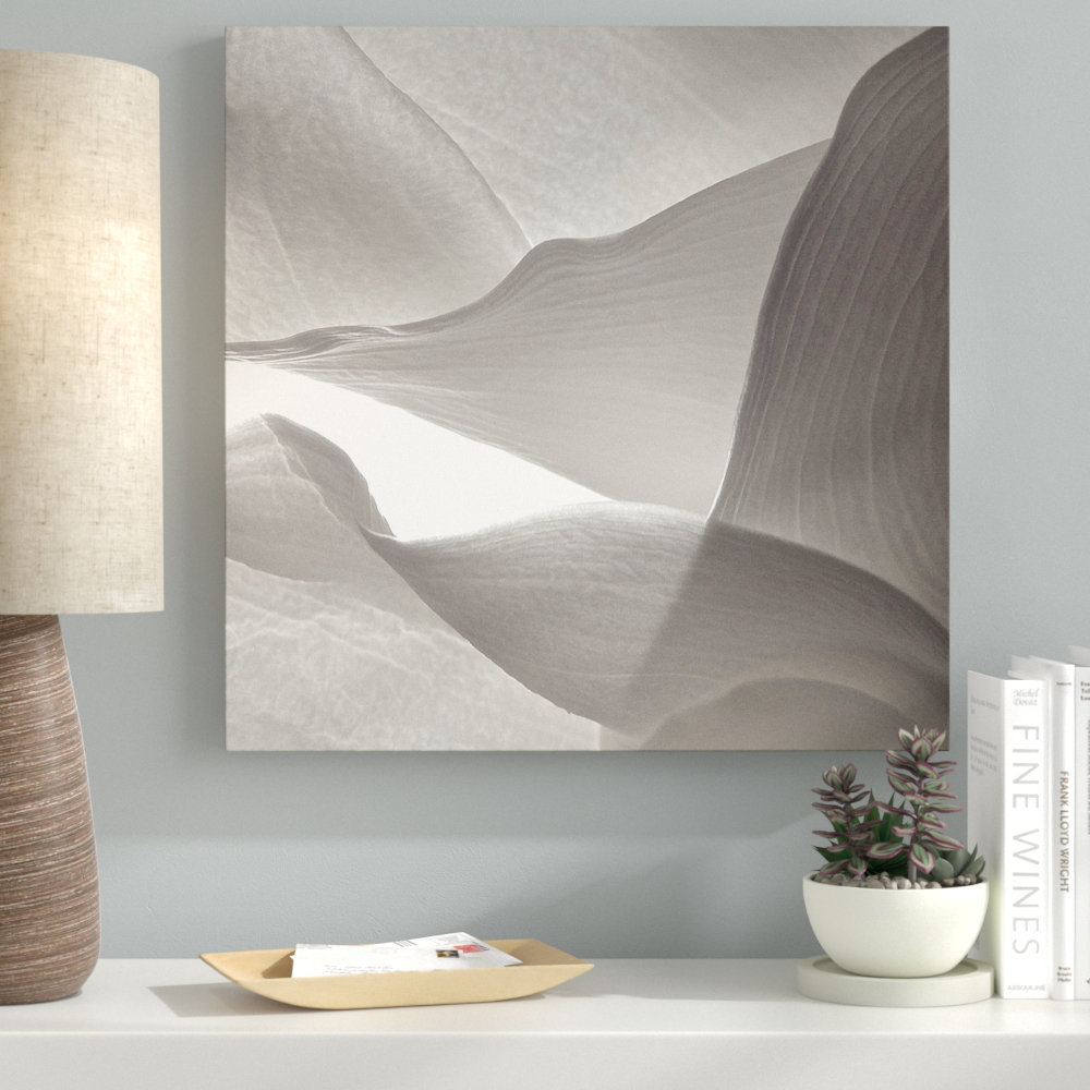 Ebern Designs 'White Callas VI' Photographic Print on Wrapped Canvas ...