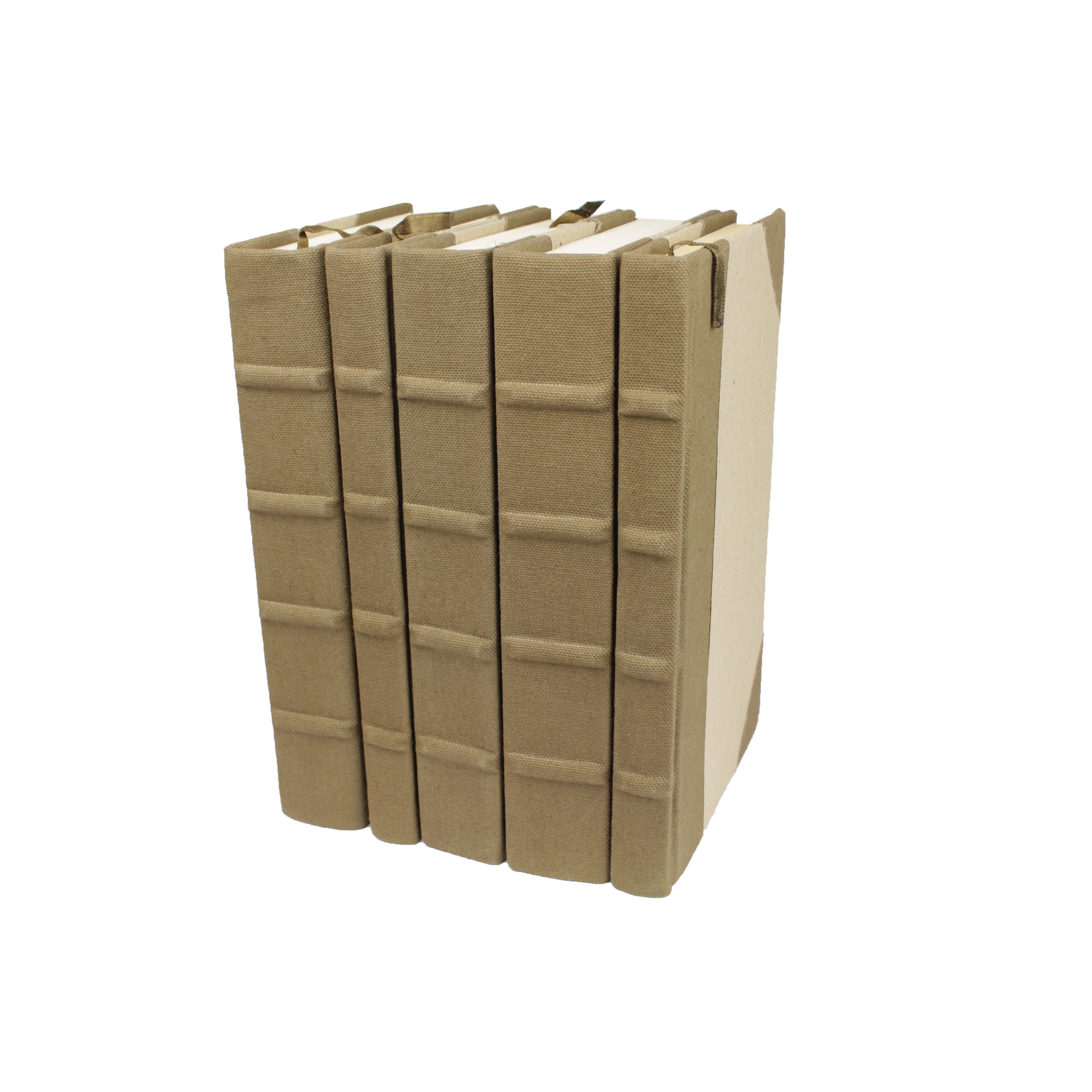 Leather Books 5 Piece Canvas Decorative Book Set | Wayfair