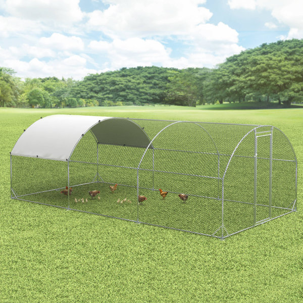 Tucker Murphy Pet™ Dearia Chicken Run & Reviews - Wayfair Canada