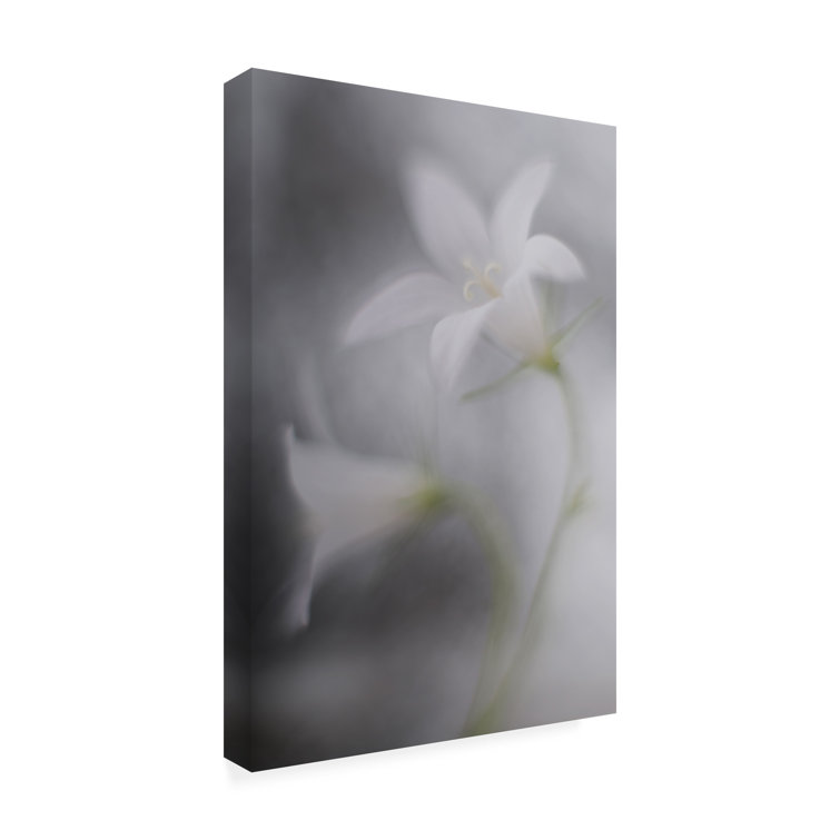 Ebern Designs Bells On Canvas by Doris Reindl Print | Wayfair