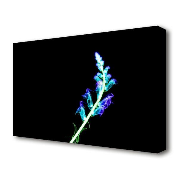 Ebern Designs X-Ray Lila - Druck | Wayfair.de