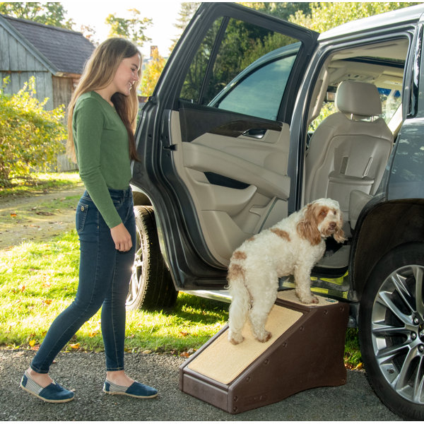 Pet Gear Stramp Stair and Ramp Combination for Dogs/Cats & Reviews ...