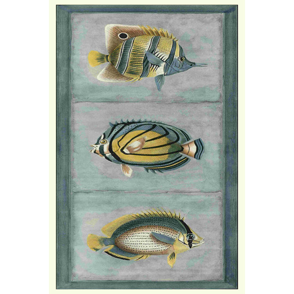 Rosecliff Heights " Tropical Fish Trio I " by Vision Studio | Wayfair