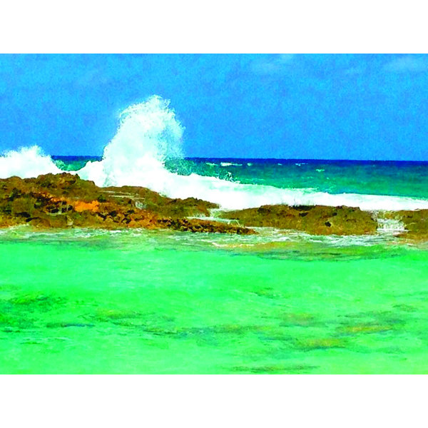 Highland Dunes " Sea Spray " by Michelle Deegan - Wayfair Canada