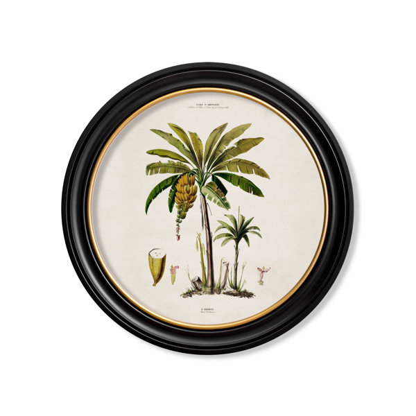 Bay Isle Home Crey Crowned Crane by Mid-1800s - Single Picture Frame ...