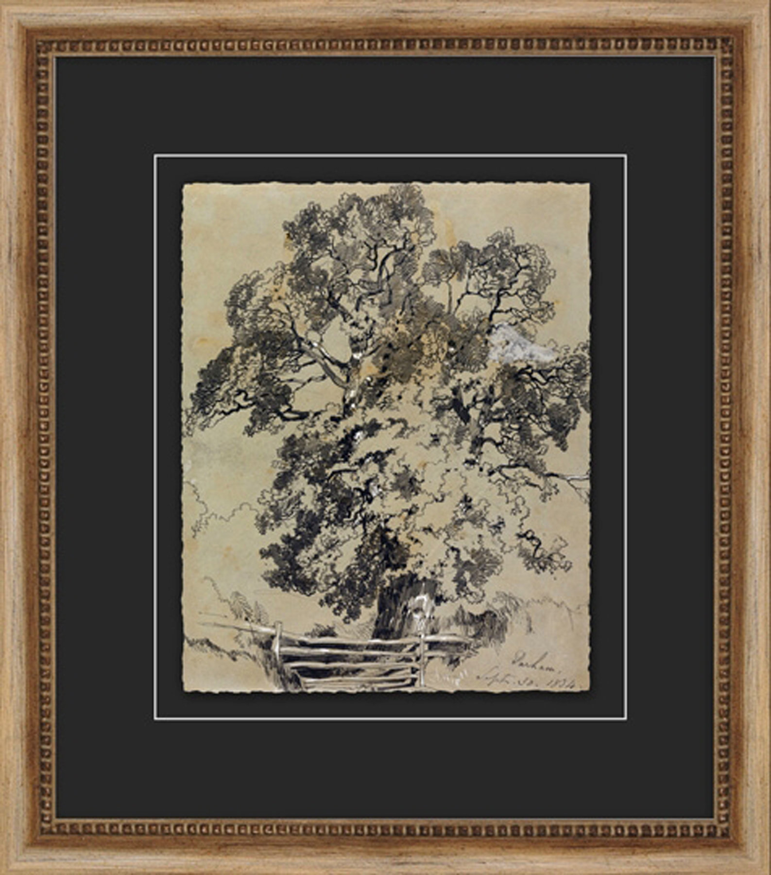 Wendover Art Group Antique Tree Study 2 - Picture Frame Painting on ...