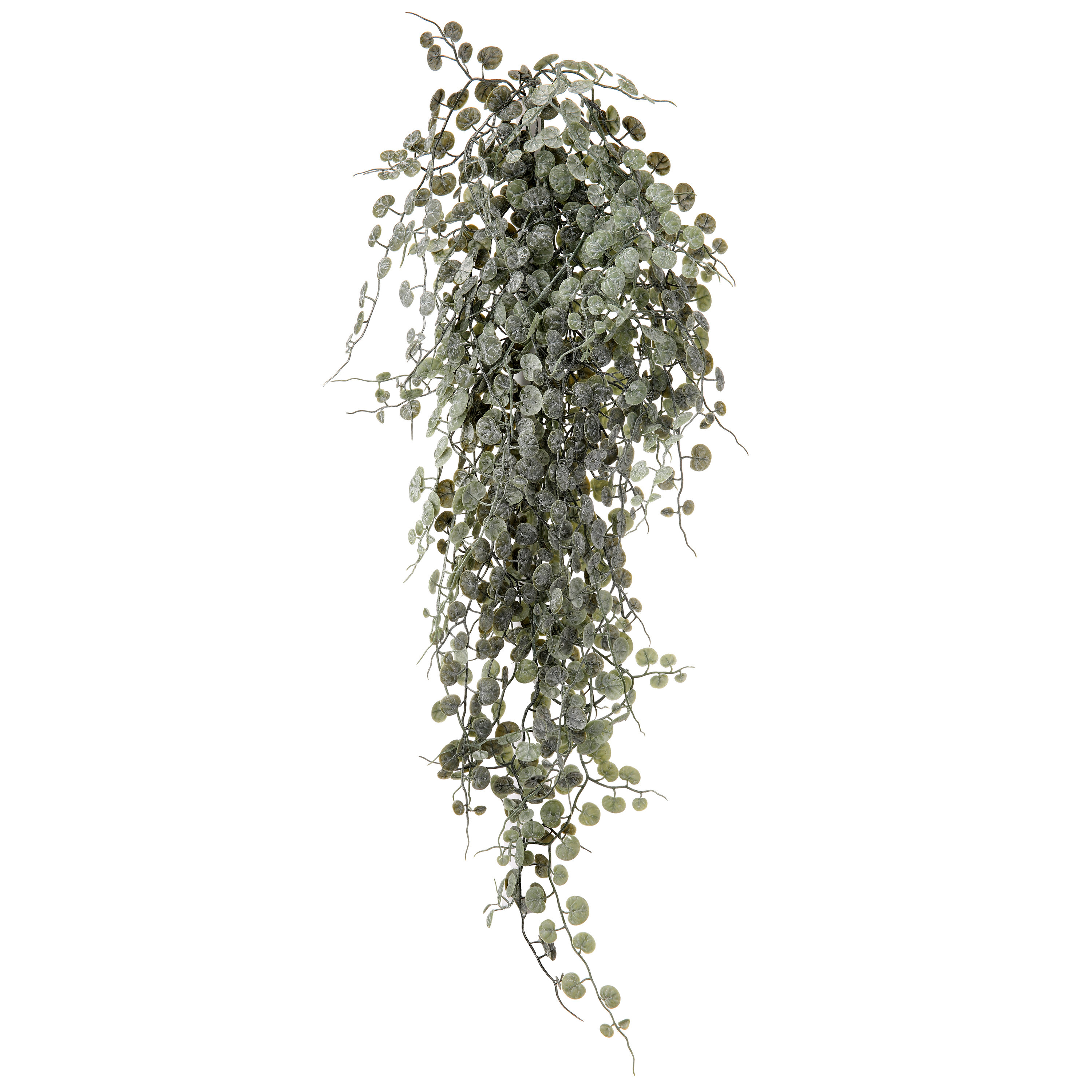 Primrue 38" Plastic Hanging Weathered Button Leaf Bush | Wayfair