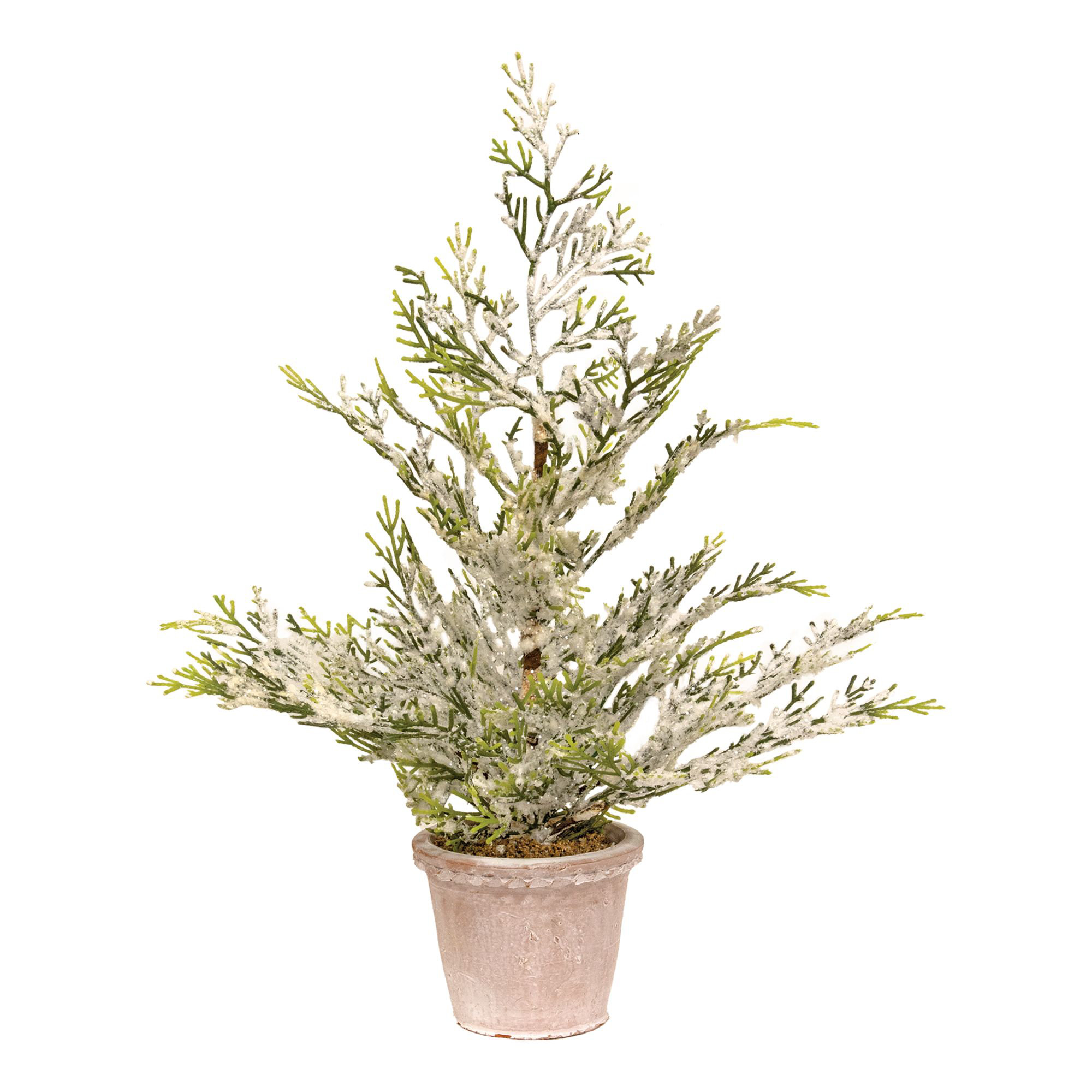 Primrue 20" Artificial Juniper Tree in Pot | Wayfair