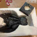 Design Toscano Hellion the Devil Gargoyle Statue & Reviews | Wayfair