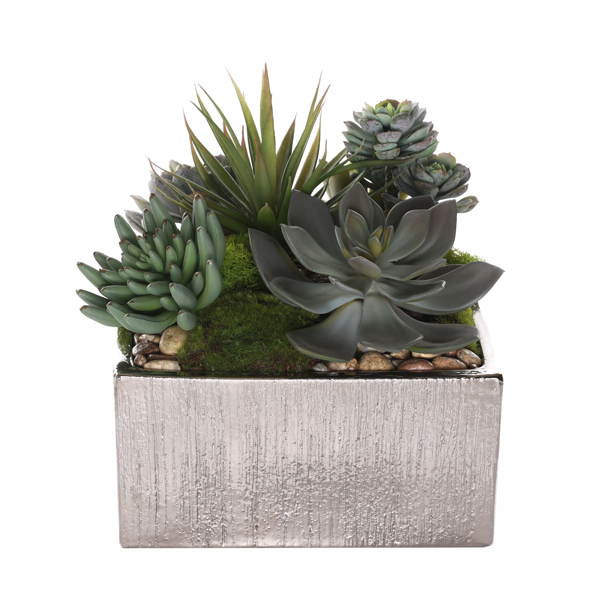 Jenny Silks Succulents Arrangement with rocks in Square Etched Sliver ...
