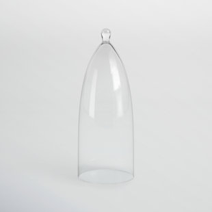 Cloche | Wayfair