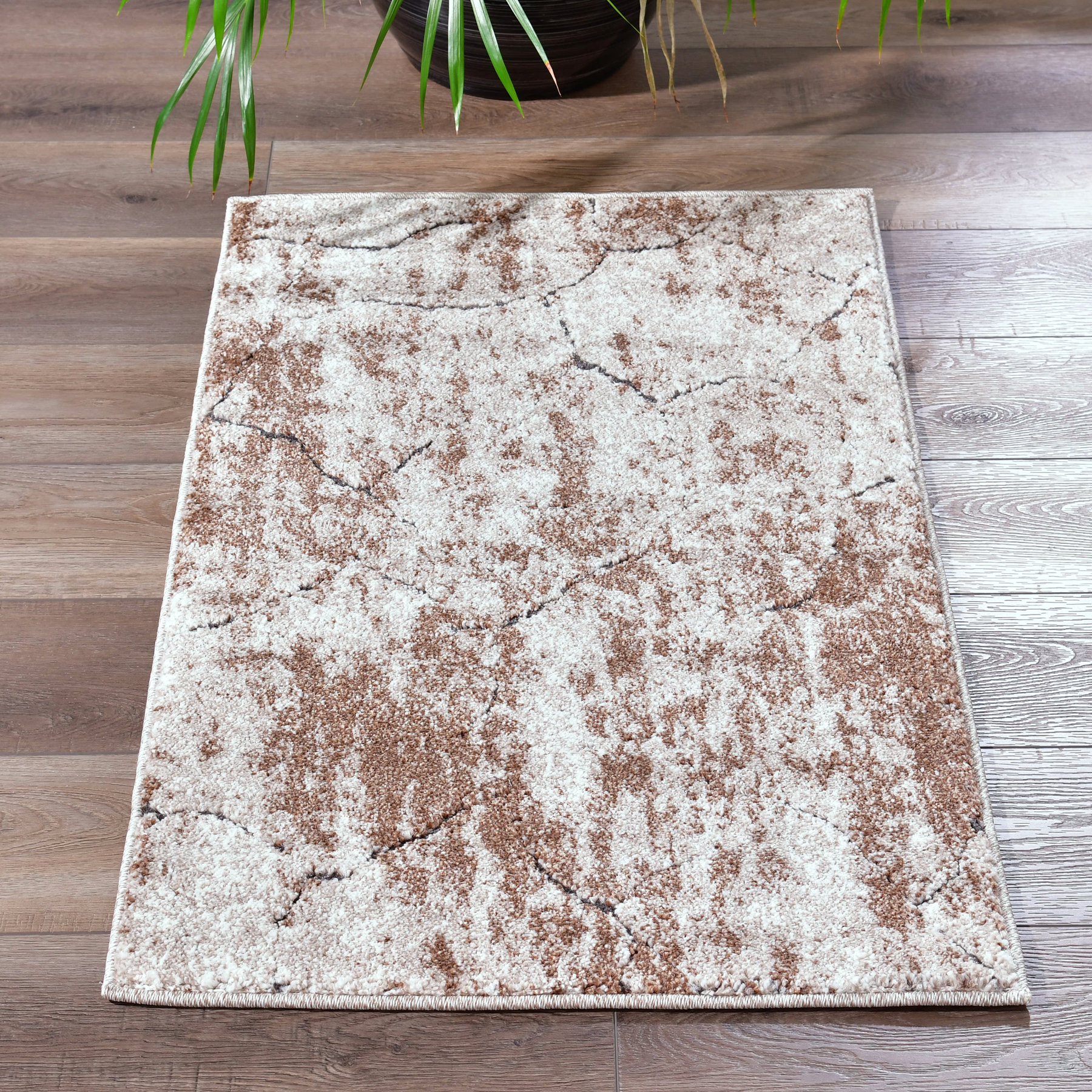 17 Stories Poche Cream/Brown Rug | Wayfair