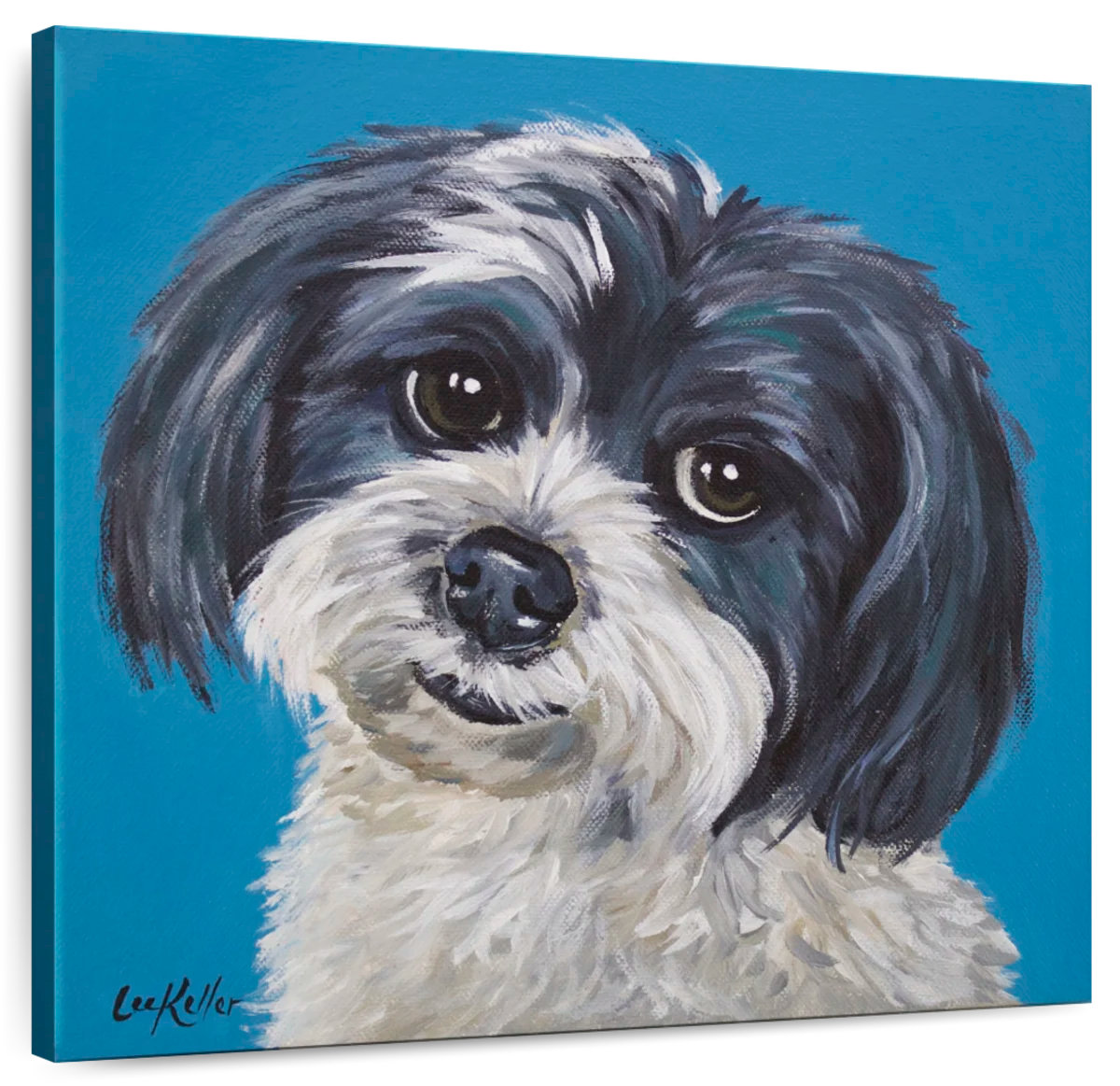 August Grove® Maltese Shih Tzu Mix Maggie | Wayfair