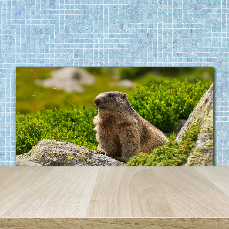 Union Rustic Swistak Tatrzanski 50cm x 100cm Glass Panel | Wayfair.co.uk