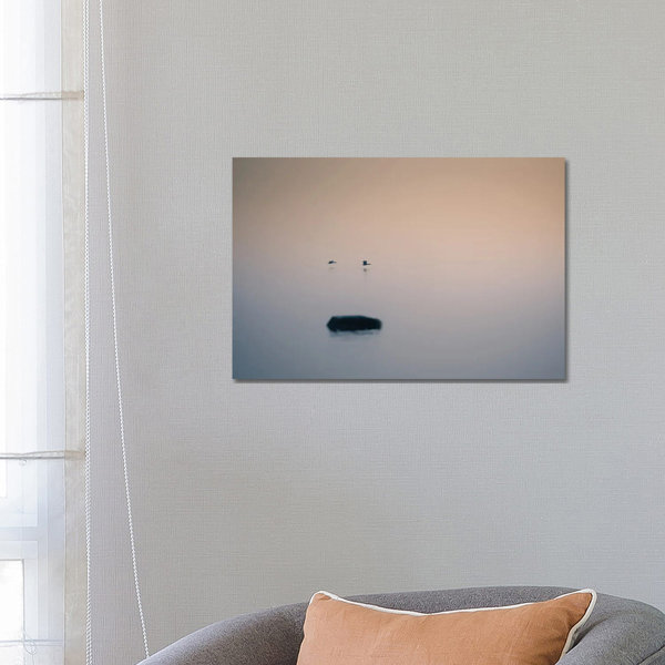 Brayden Studio Sunrise Low Flying Birds by Nik Rave - Wrapped Canvas ...