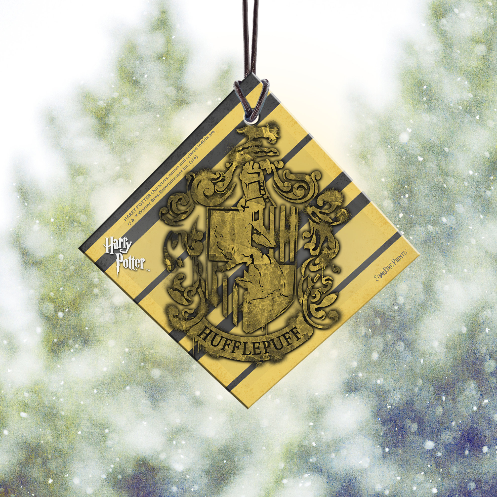 Trend Setters Harry Potter Hanging Glass Print Diamond Shaped Print ...