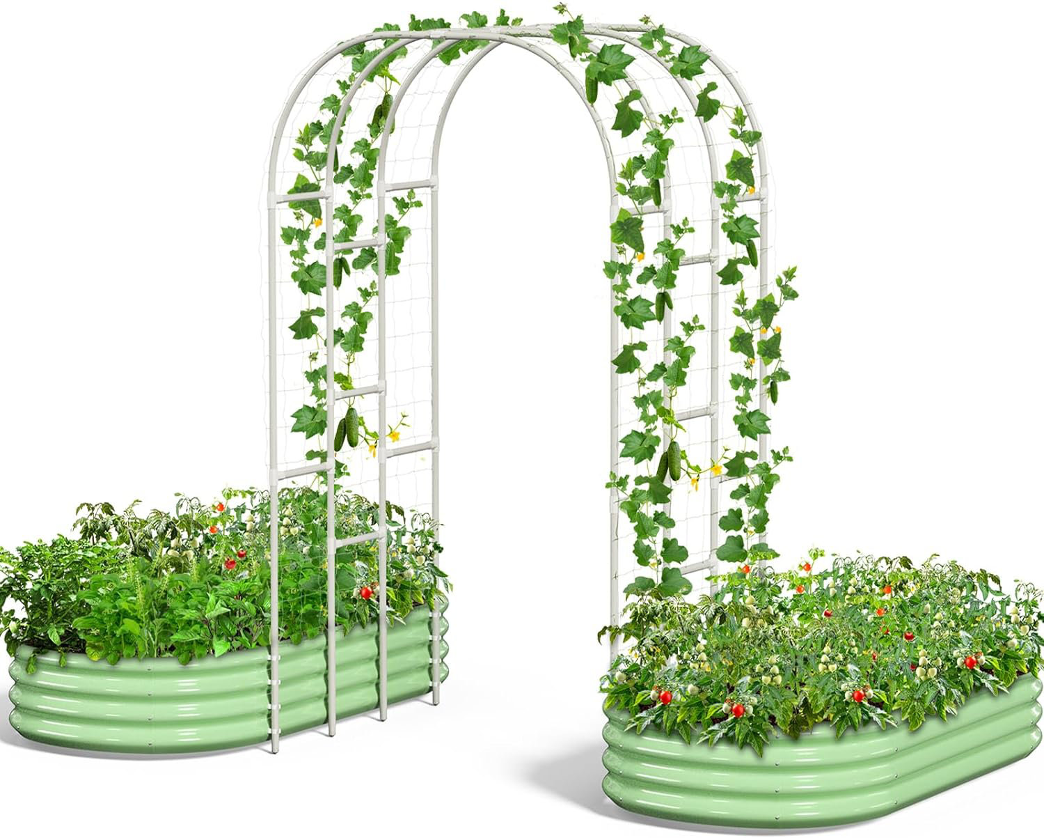 ShangQuan WuLiu Tall Garden Arch Trellis With Galvanized Raised Garden ...