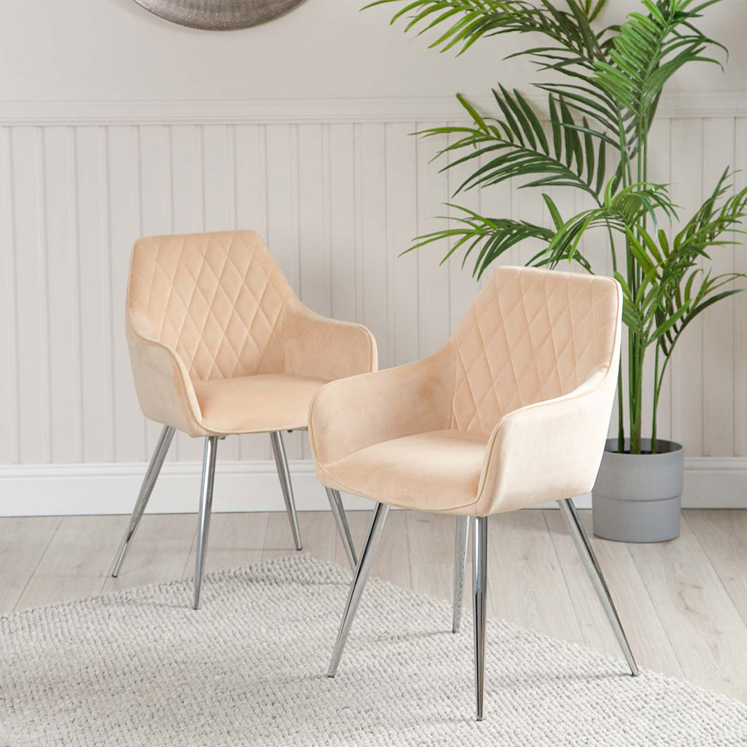 Germania Velvet Modern Dining Arm Chairs with Metal Shiny Metal Legs ...