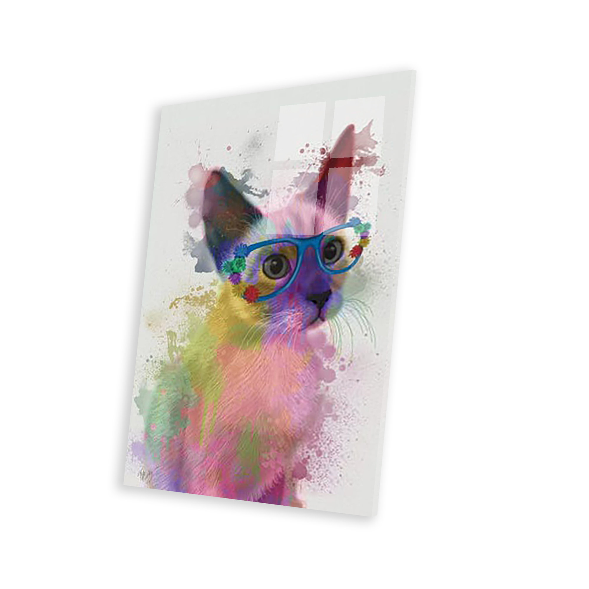 Ivy Bronx Rainbow Splash Cat II Print On Acrylic Glass - Wayfair Canada