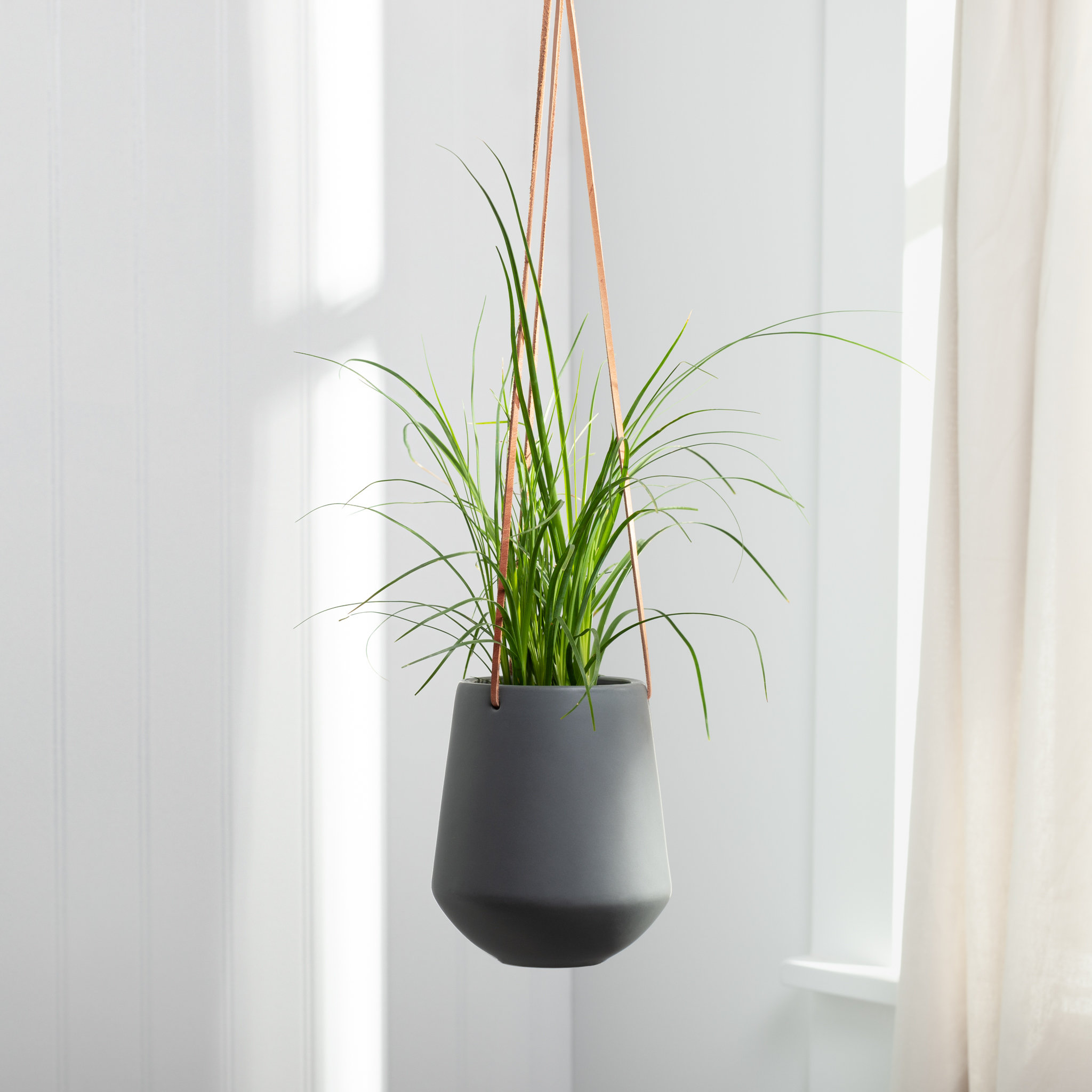 Wrought Studio™ Ashbury Porcelain Leather Hanging Drop Pot Planter ...