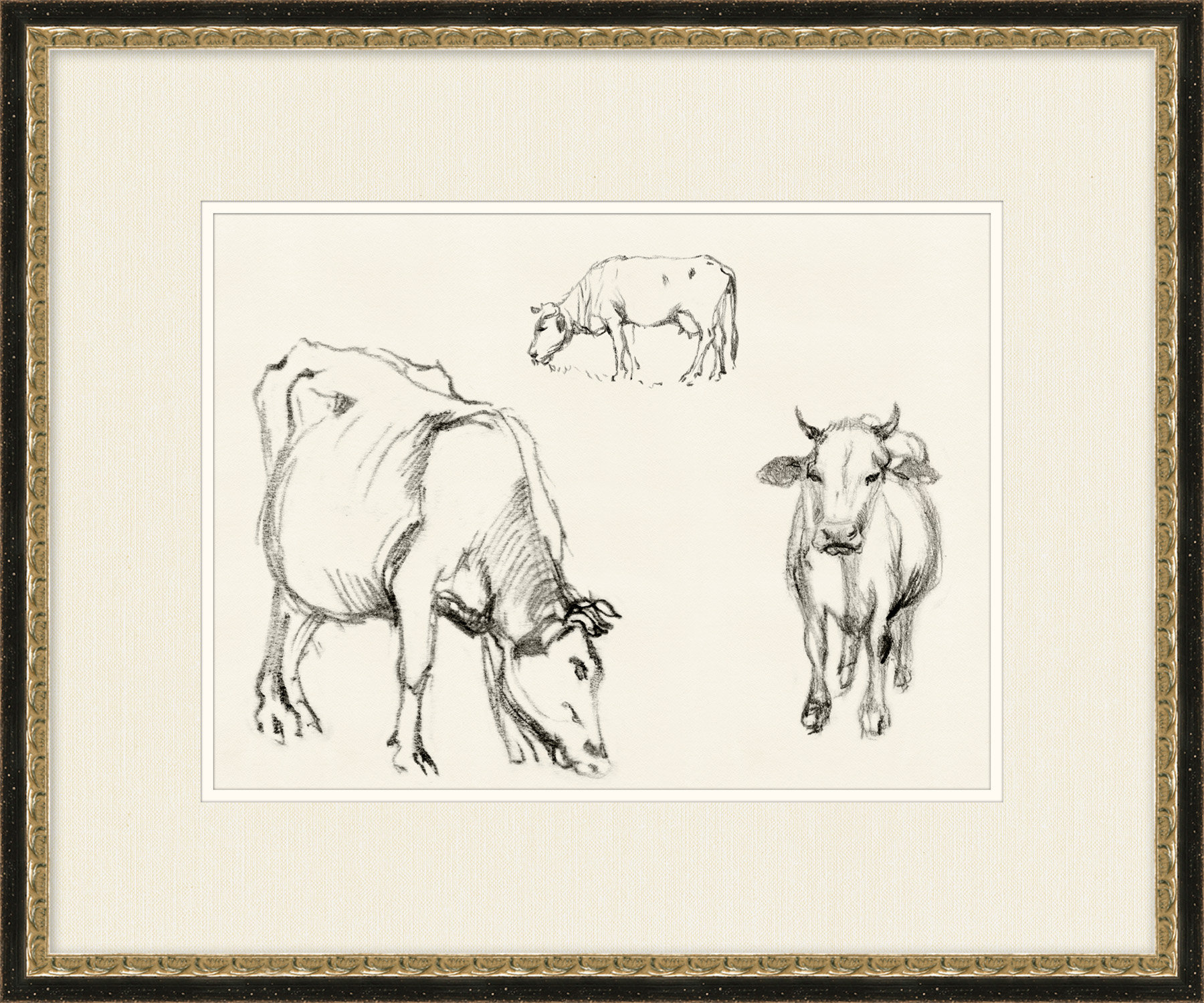 Wendover Art Group Country Cow Sketches 5 - Picture Frame Drawing Print ...