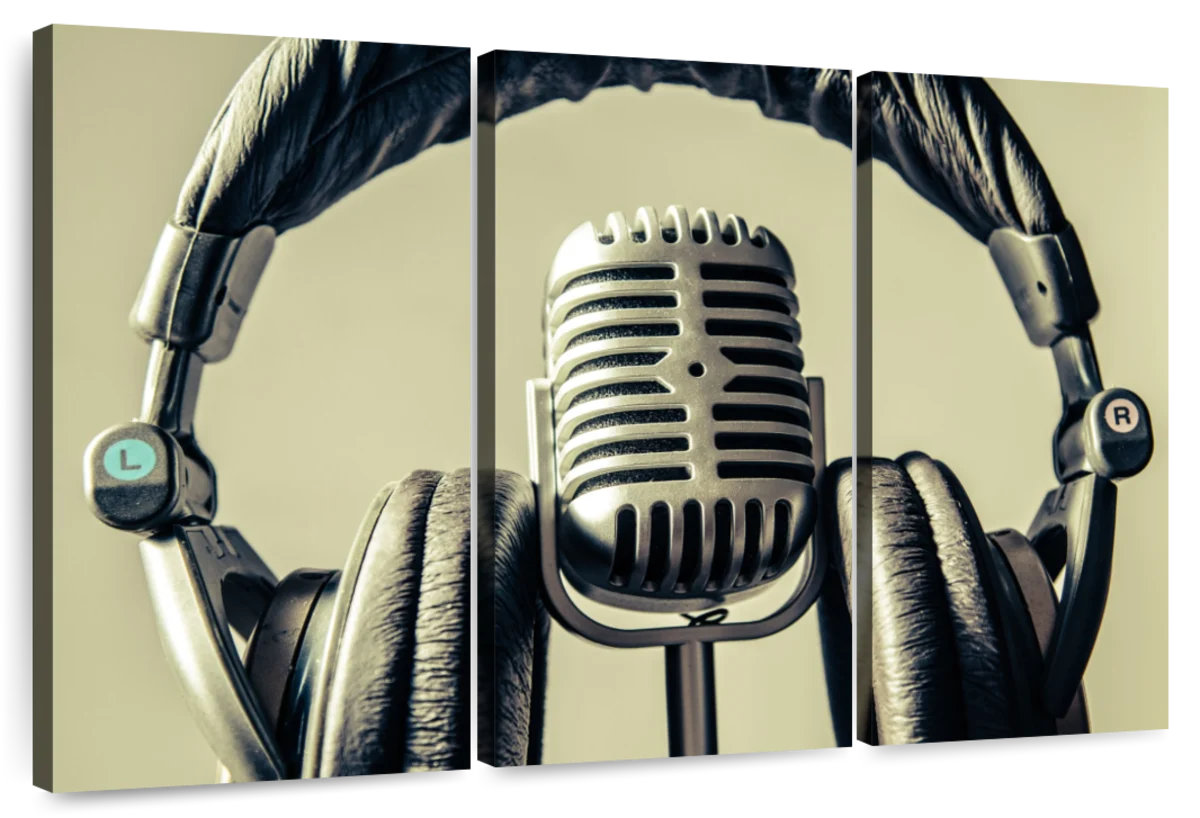 Elephant Stock Microphone And Headphone | Wayfair