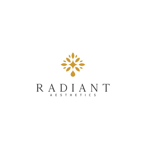 RADIANT DECOR | Wayfair