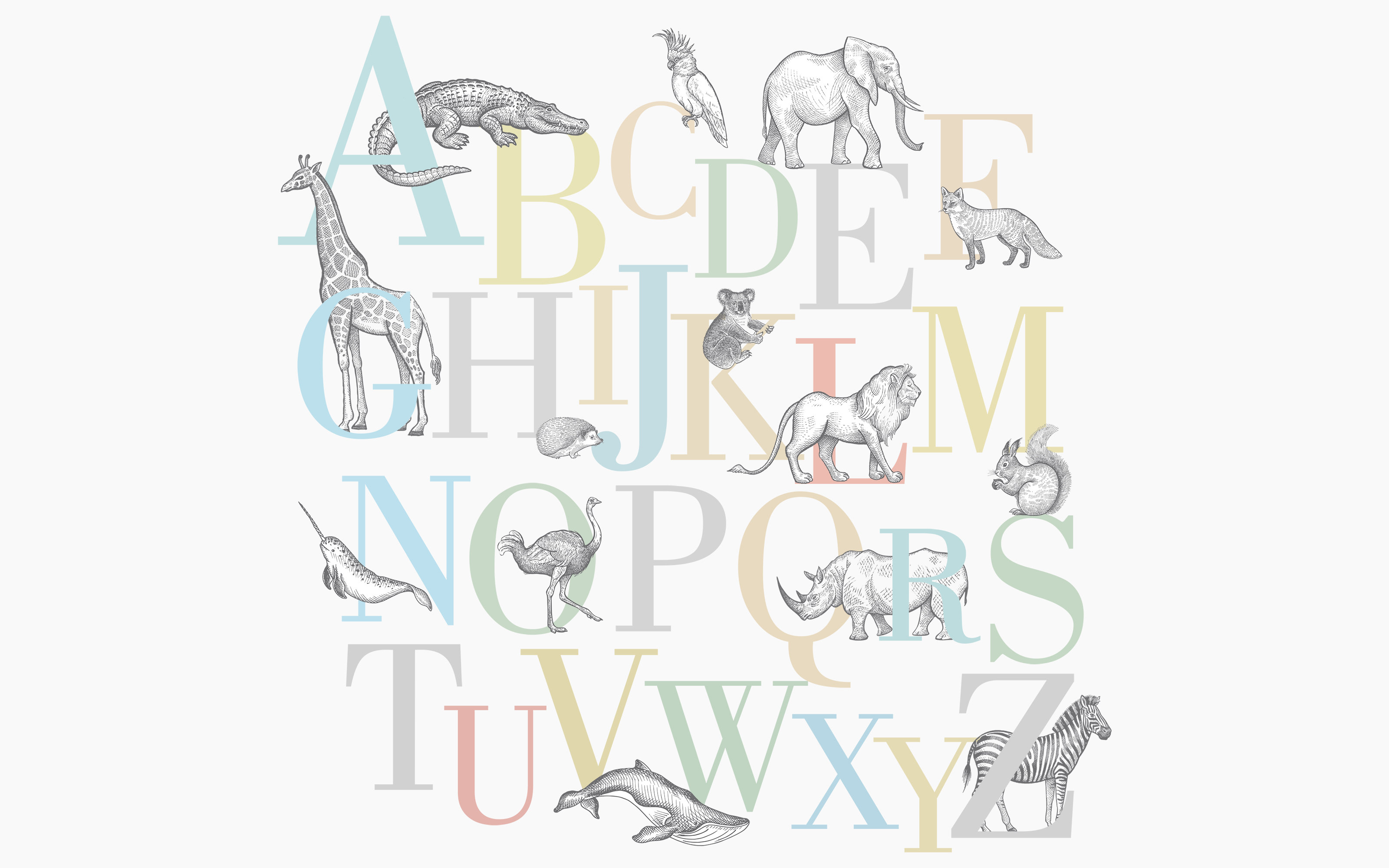 wallpaew Colorful Alphabet Wallpaper Kids Room Wall Decor | Wayfair