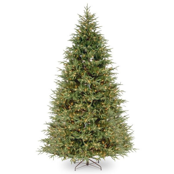 Frasier Grande Tree with Clear Lights & Reviews | Birch Lane