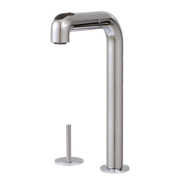 Aquabrass Eatalia Kitchen Faucet with Side Joystick - Wayfair Canada