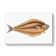 East Urban Home Atlantic Halibut Fish by Edward Donovan - Wrapped ...