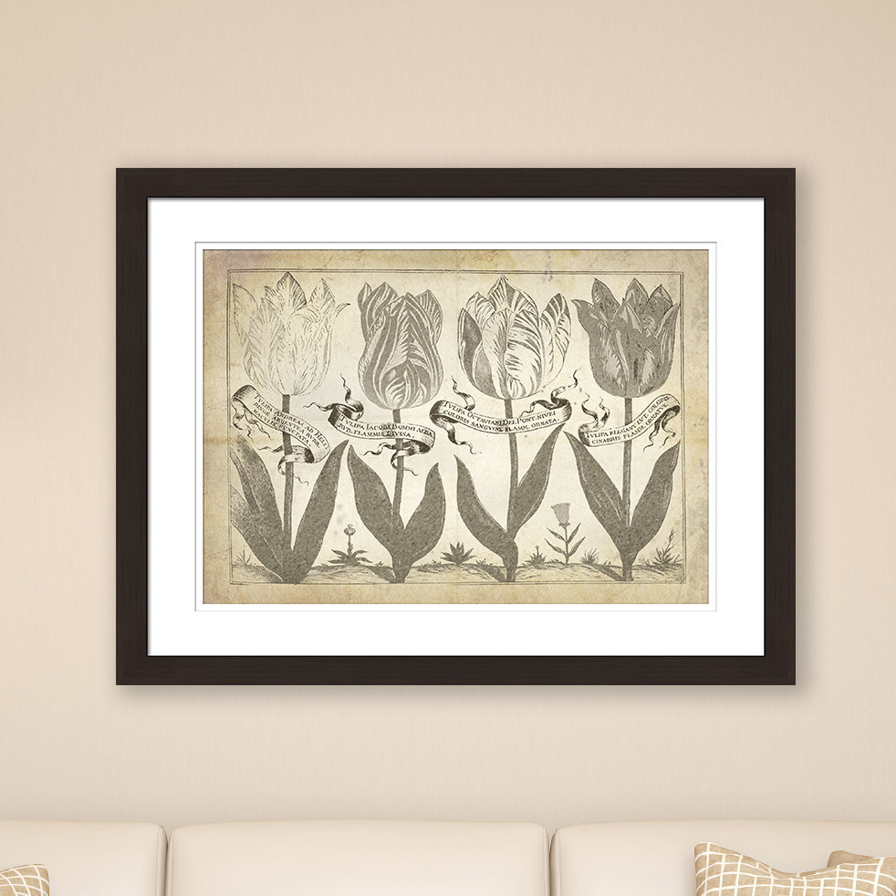 PTM Floral Sketch III Framed Graphic Art | Wayfair