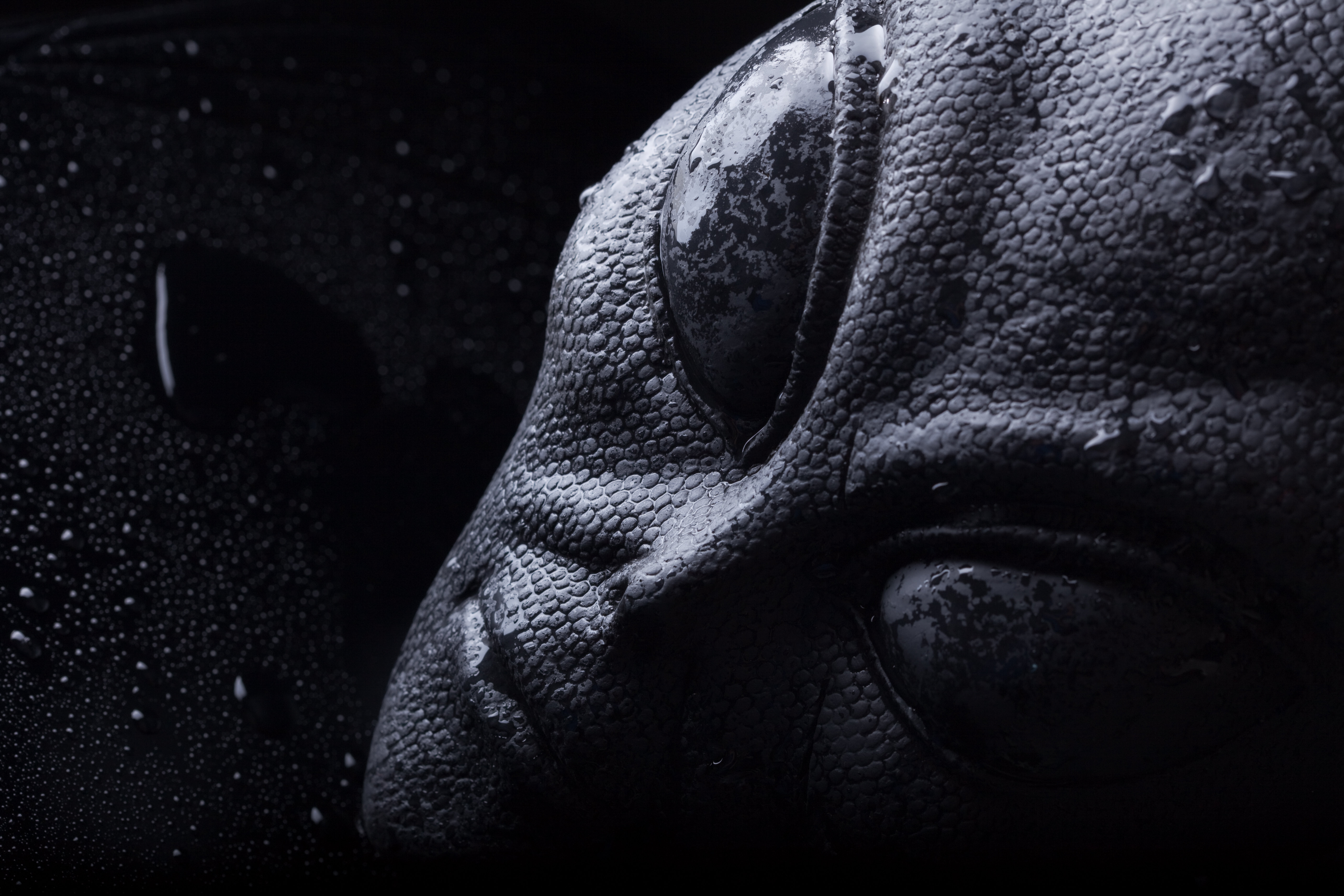 Trinx Evil Alien Face by Danbrandenburg | Wayfair