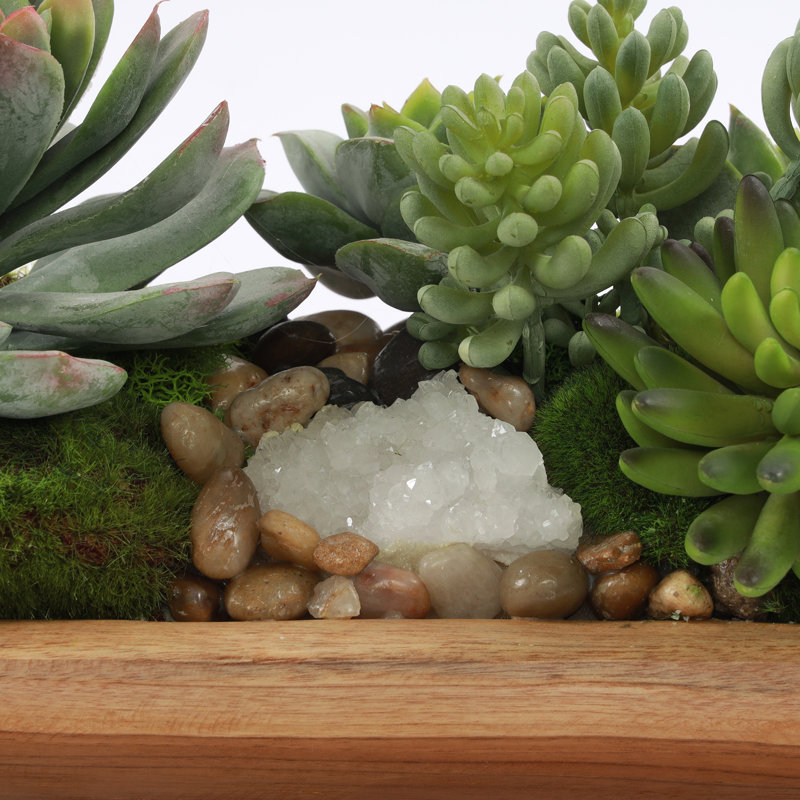 Jenny Silks Cute Faux Succulents & Geodes Plant in Teak Ship Bowl | Wayfair
