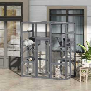 Cages et parcs pour chats: Type de produit - Parc - Wayfair Canada