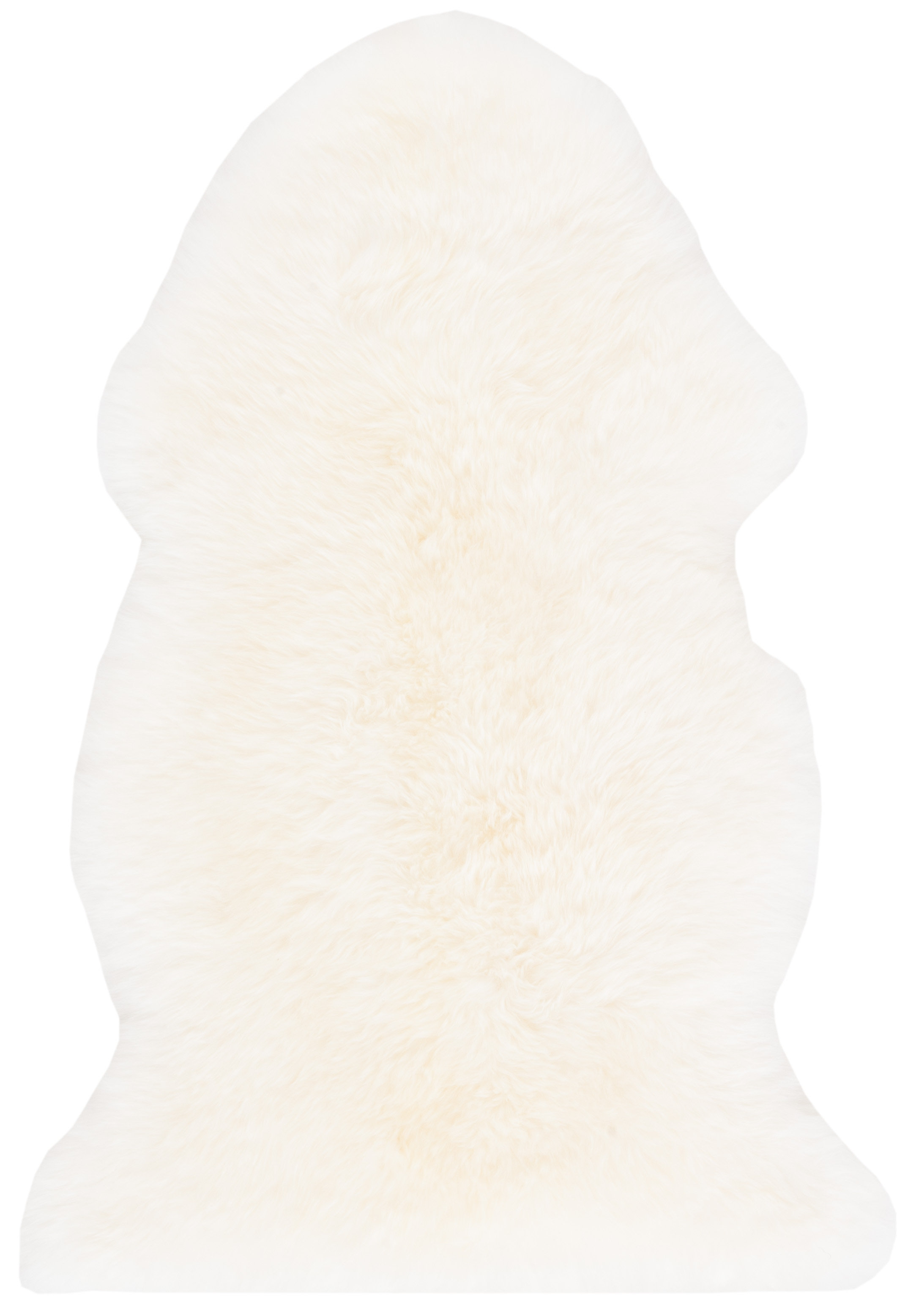 AllModern Mera Handmade Sheepskin White Area Rug & Reviews | Wayfair