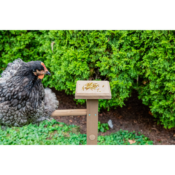 Arlmont & Co. Rhema Roosting Perch | Wayfair
