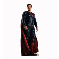 Superhero and Villain Life Size Cutouts You'll Love | Wayfair