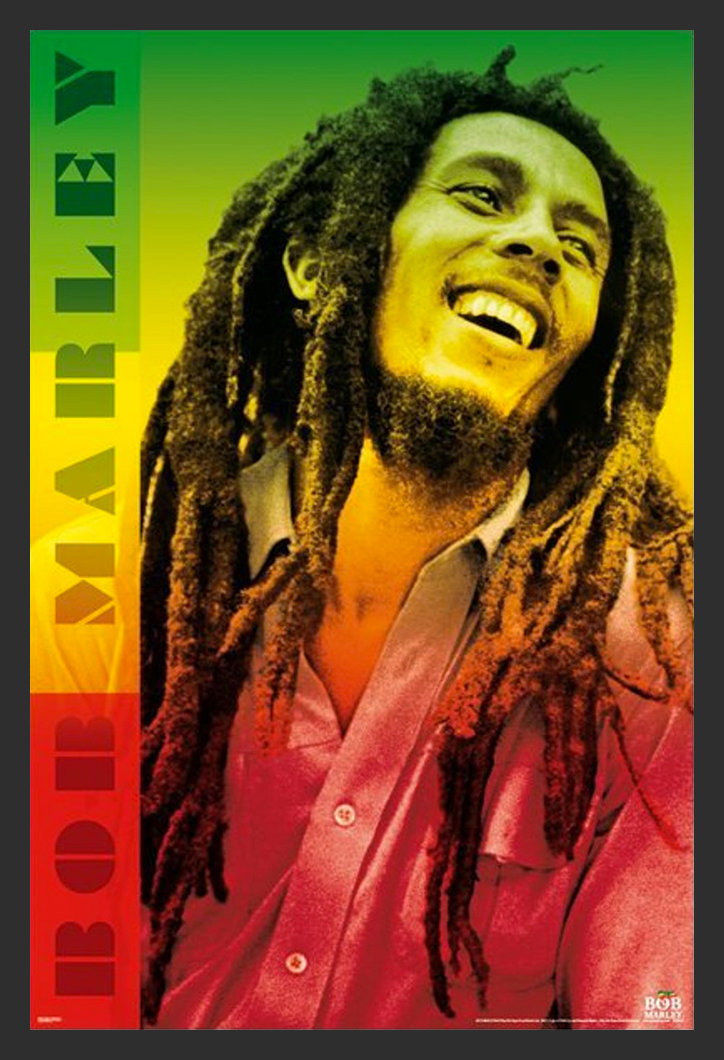 Trinx Bob Marle Colors Framed On Poster Paper Print | Wayfair