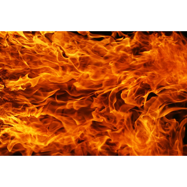 Wrought Studio Fredda Fire On Canvas by Isailorr | Wayfair