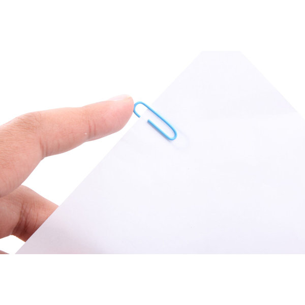 Baumgartens Paper Clips | Wayfair