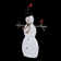 The Holiday Aisle® Snowman Lighted Display & Reviews | Wayfair