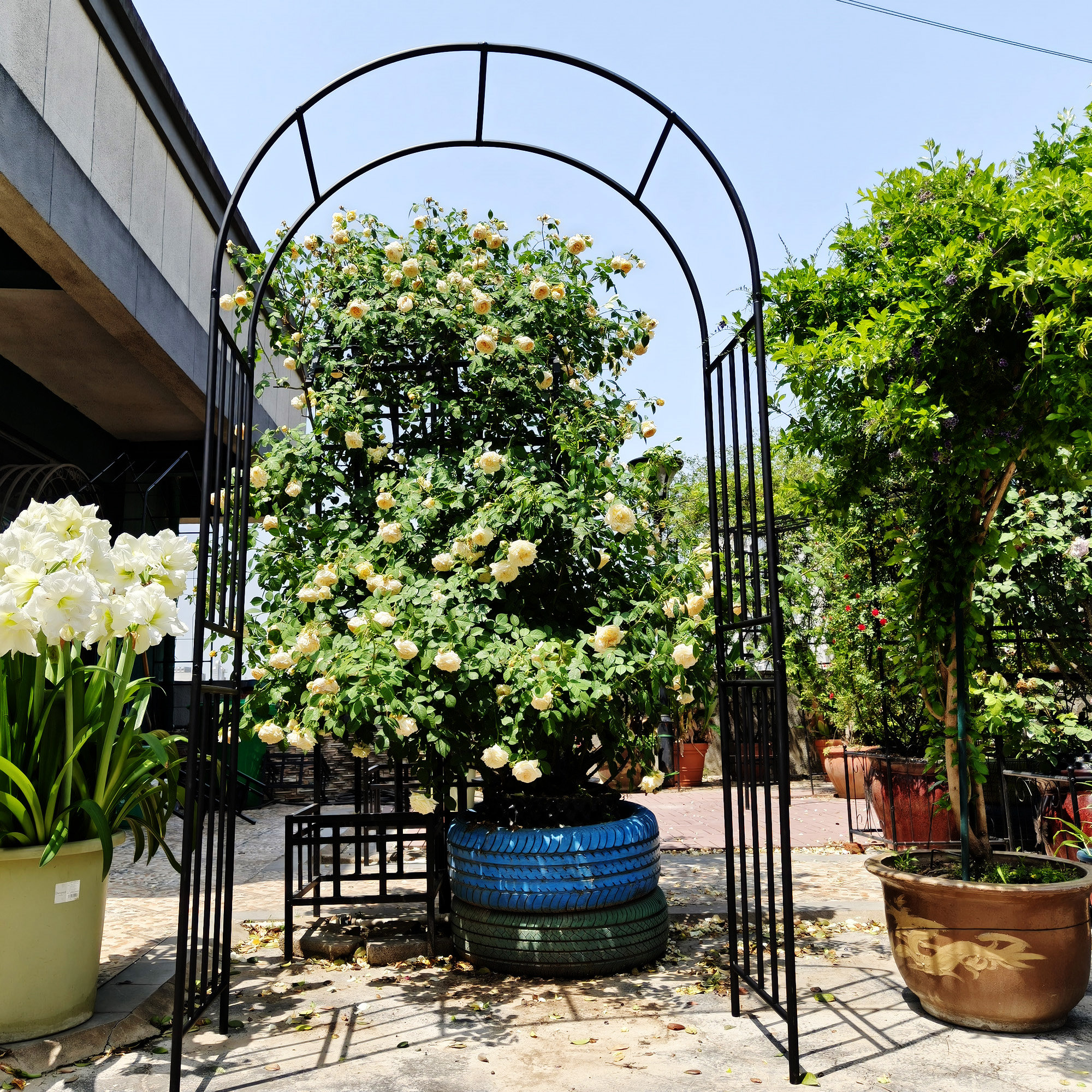 Audiohome Metal Garden Arch L42.24'' X W17.52'' X H85.82'' Climbing Plants Support Rose Arch ...