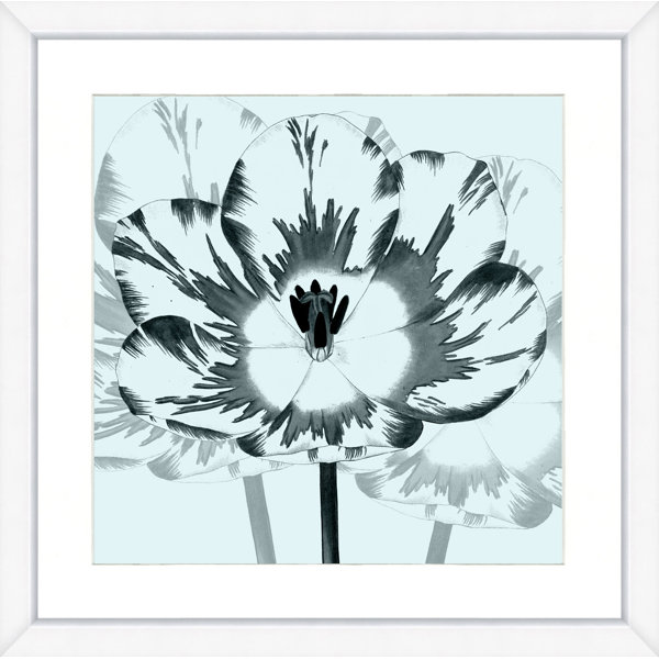 Vintage Print Gallery Blue Flower Crop I by Vintage Print Gallery ...