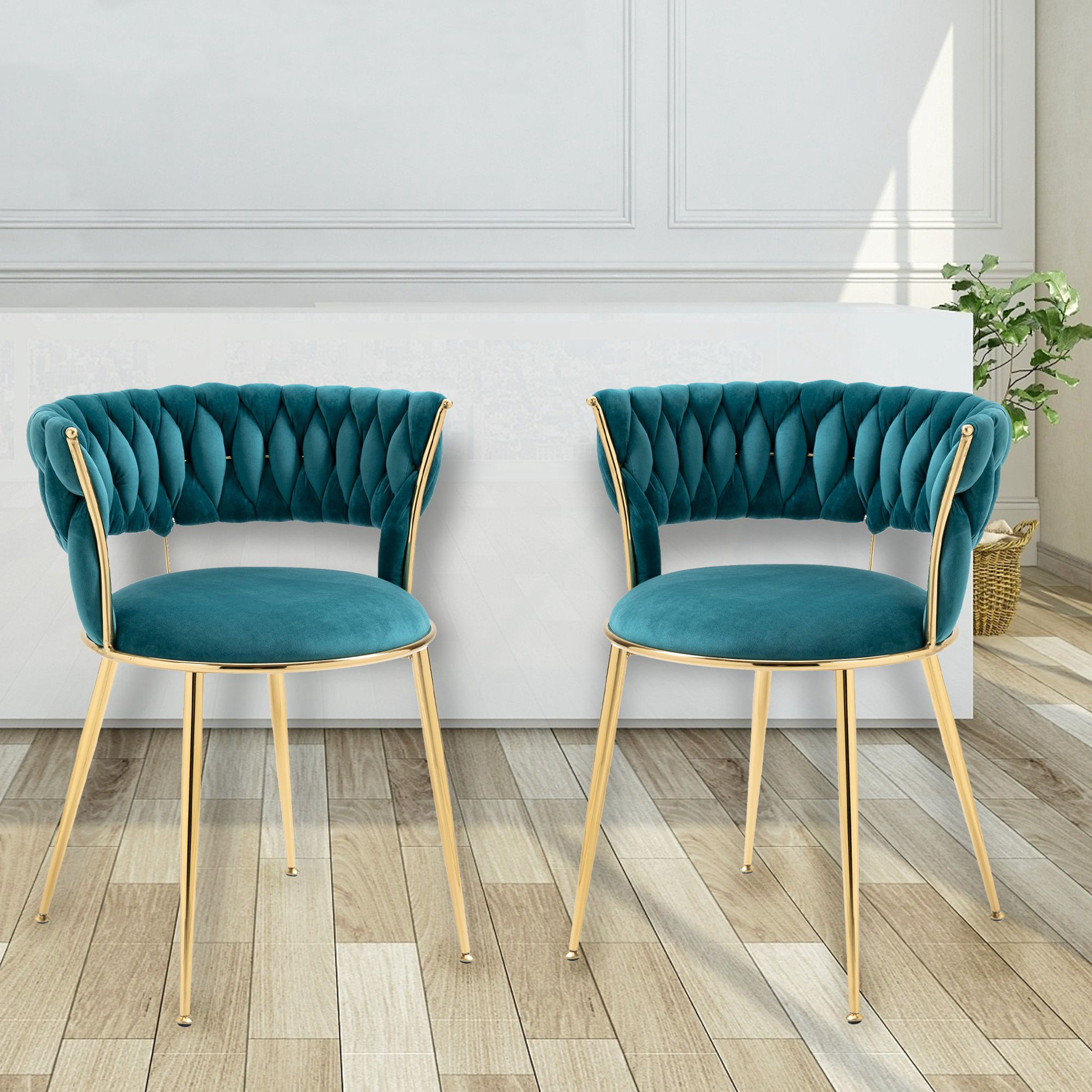 Mercer41 Denroy Elegant European Style Seat 2 Pieces Dining Chairs ...