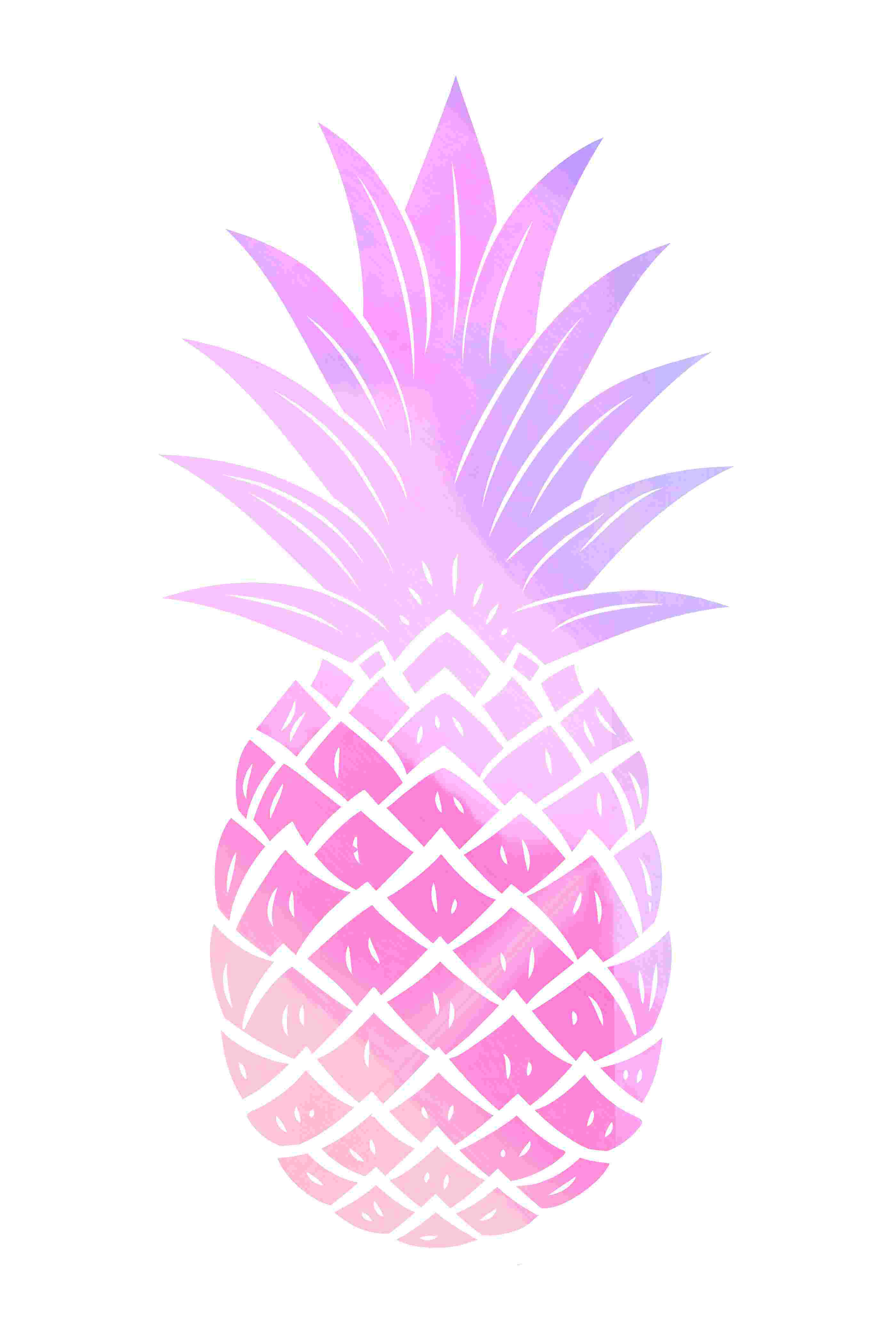 Bay Isle Home™ Blush Pineapple - Wrapped Canvas Graphic Art | Wayfair