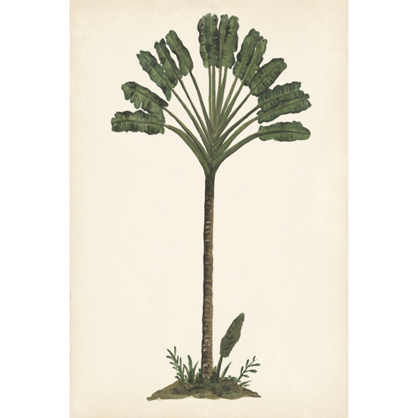 Bay Isle Home Palm Tree Study I - Wrapped Canvas Art Prints | Wayfair.co.uk