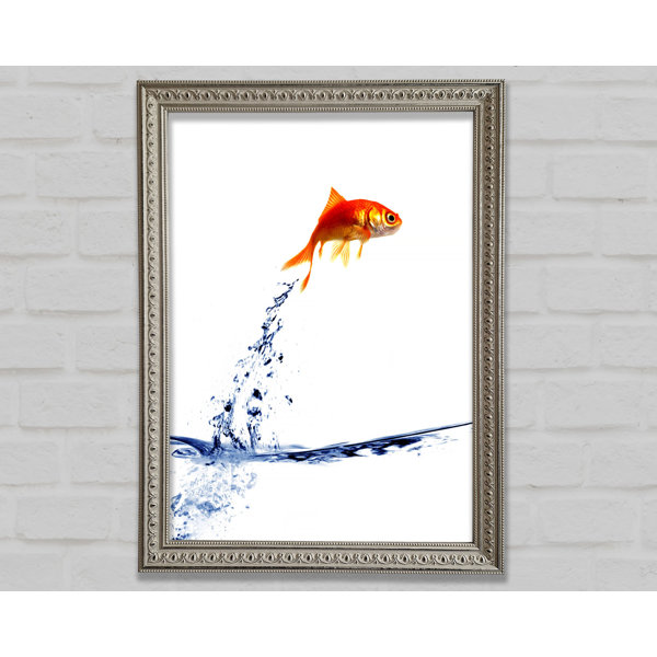 Highland Dunes Jumping Silverfish Framed Print | Wayfair.co.uk